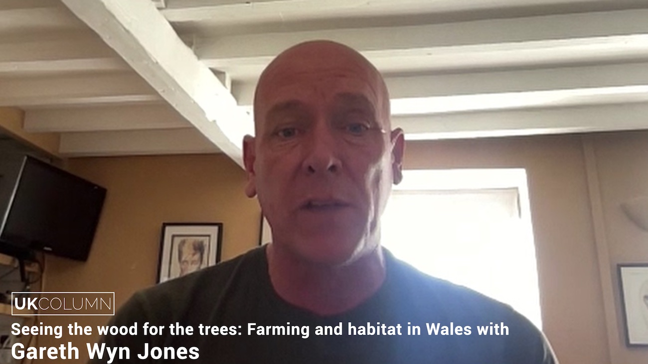 Seeing the wood for the trees: Farming and habitat in Wales with Gareth Wyn Jones | UKColumn